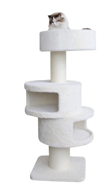 NOBBY Kratzbaum "VOLTA" cream 50 x 50 x 130 cm online kaufen